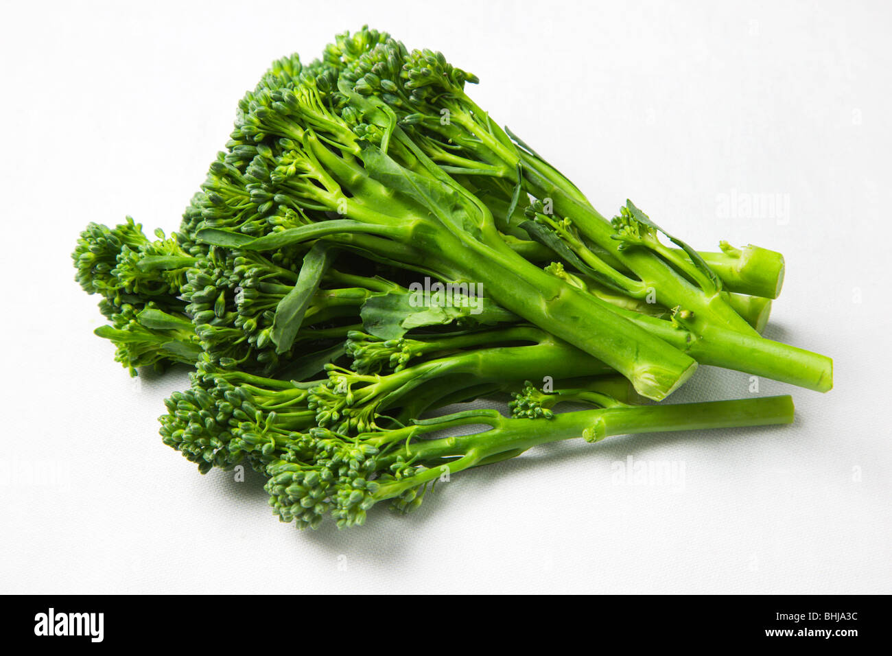 Tenderstem Broccoli on a White Background Stock Photo - Alamy