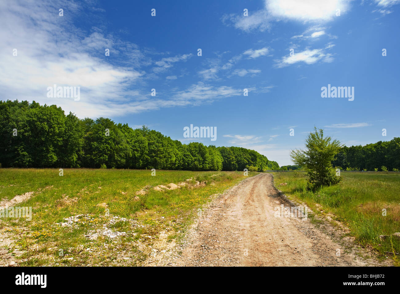 A country road Stock Photo - Alamy