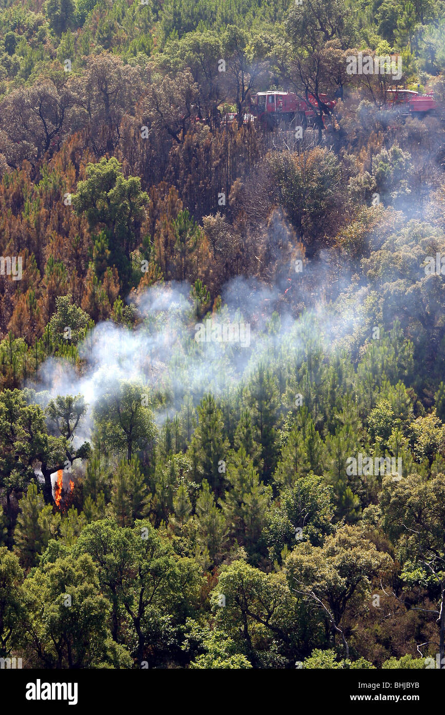 FOREST FIRE TANKER ON A FOREST FIRE PROTECTION TRAIL, FOREST FIRE IN ...