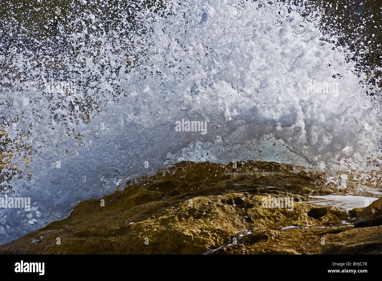 Michael maltese hi-res stock photography and images - Alamy