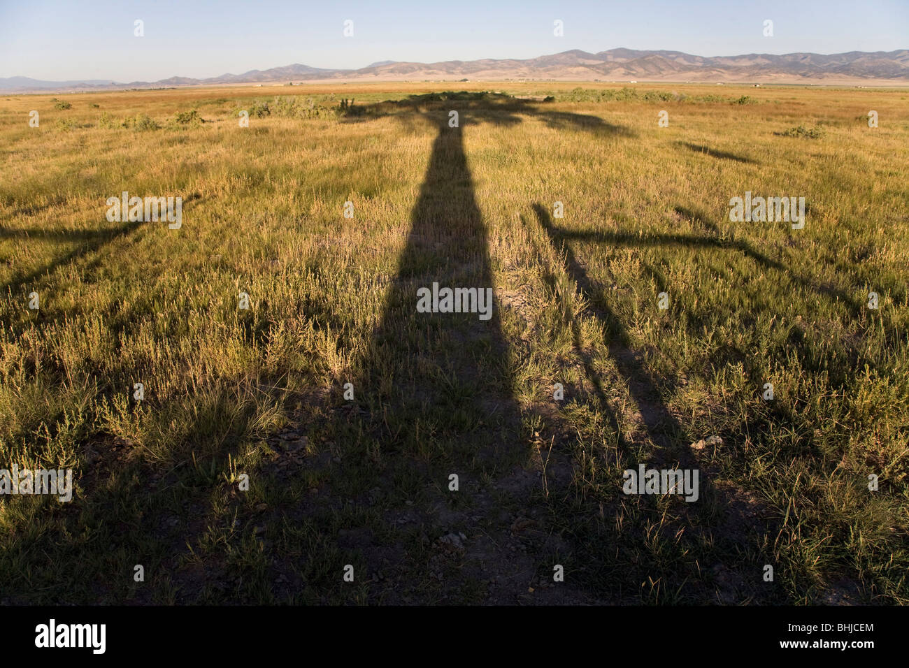 A roadside tree in the San Luis Valley, Colorado Stock Photo - Alamy