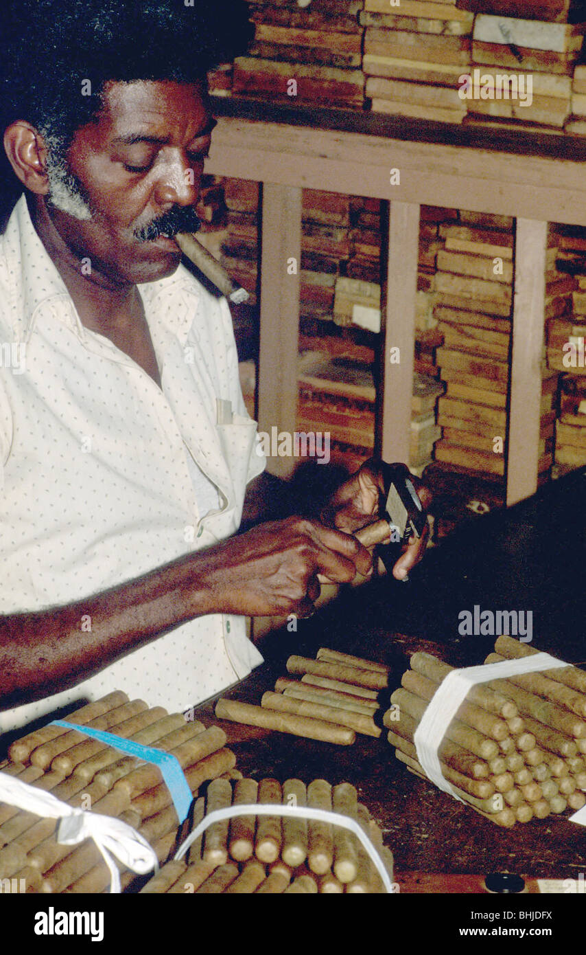 Tobacco for export hi-res stock photography and images - Alamy