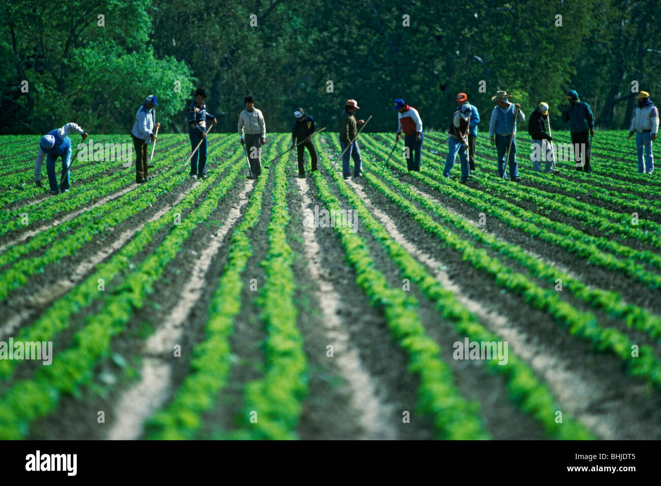 Men working the fields hi-res stock photography and images - Alamy