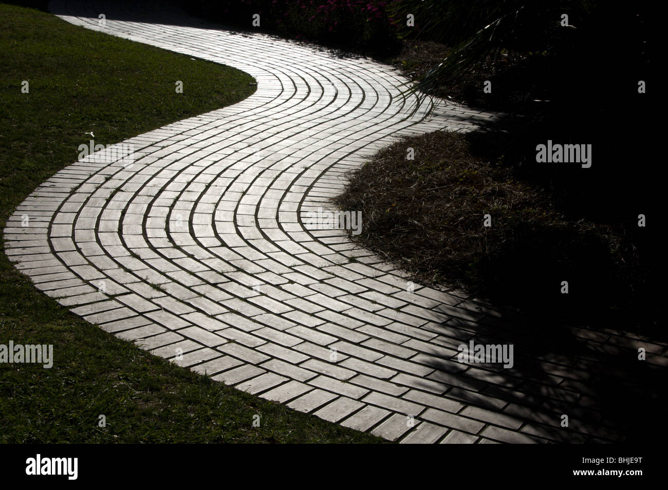 Strong curves hi-res stock photography and images - Alamy