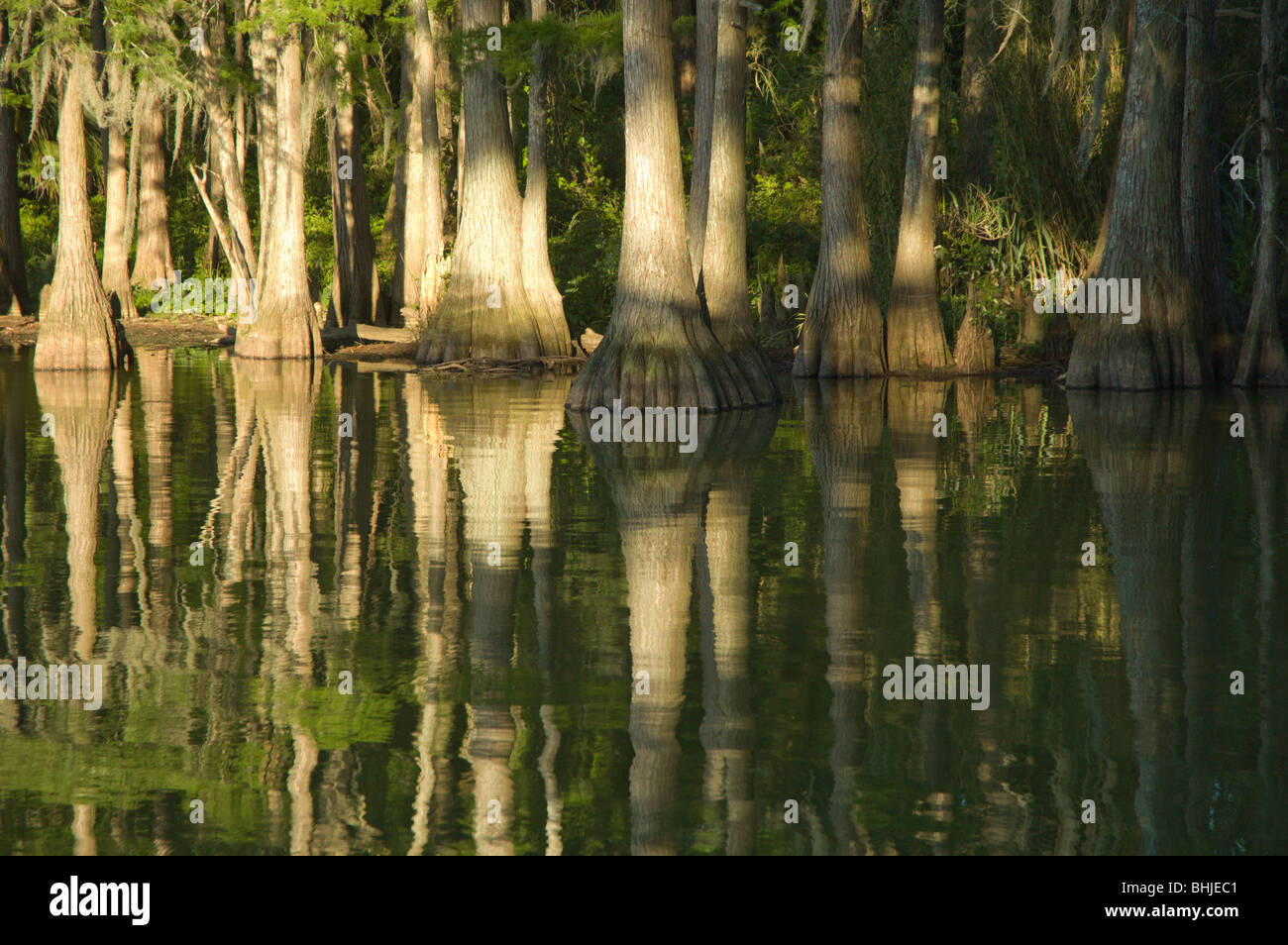 Munson pond hi-res stock photography and images - Alamy