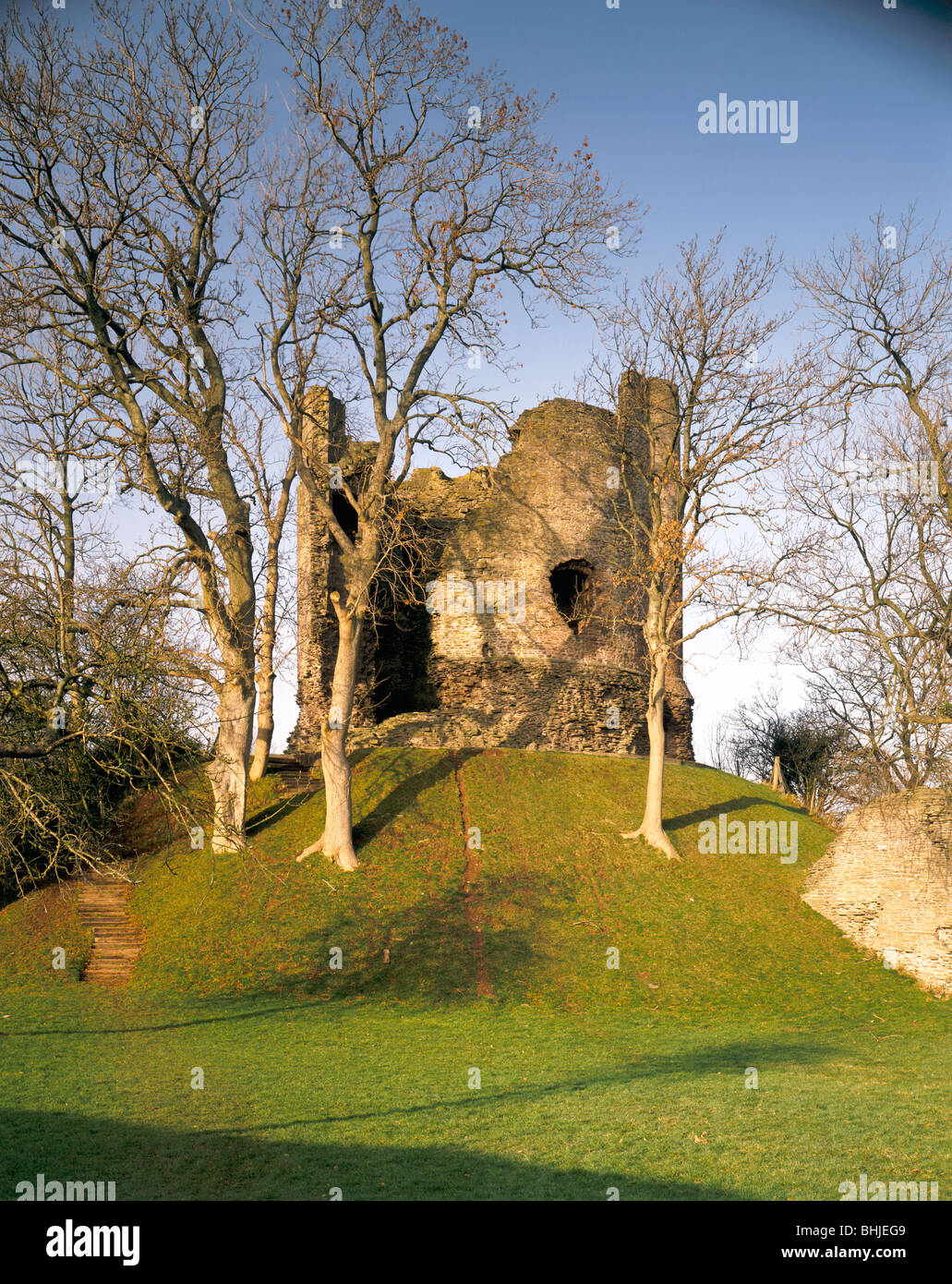 The keep with trees, Longtown Castle, Herefordshire, 1992. Artist ...