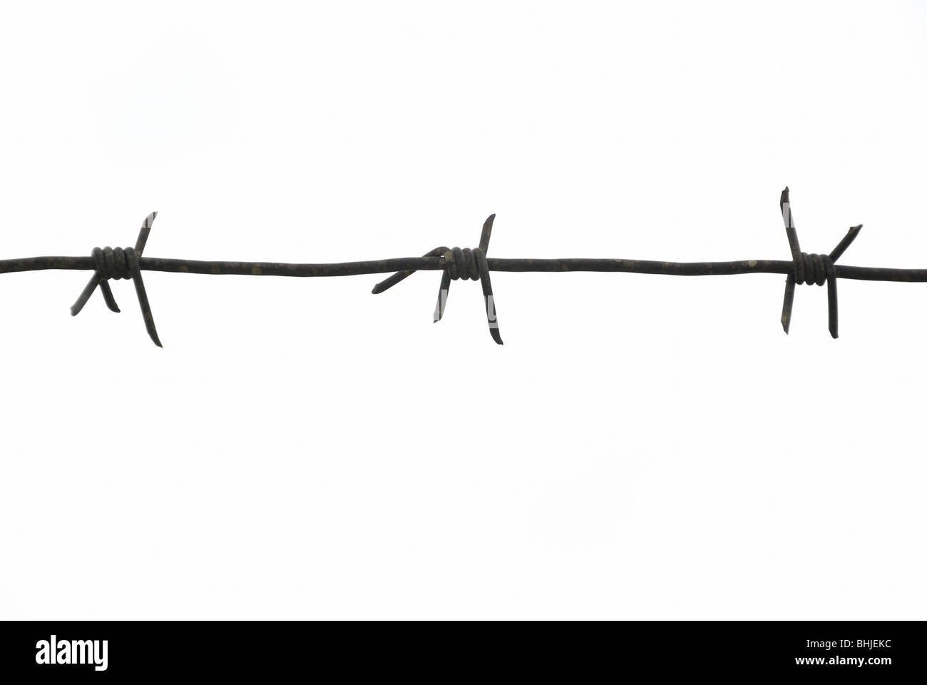 Barbed wire on the white background, isolated Stock Photo - Alamy