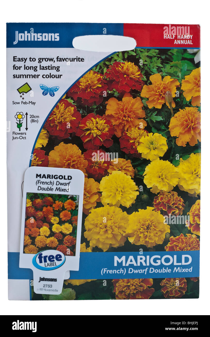 Packet of Johnson's French dwarf double mixed Marigolds Stock Photo - Alamy