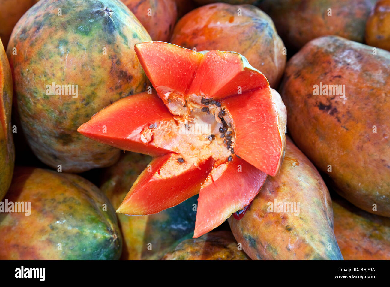 beautifully colored Oaxacan Mamey fruit, one cut in a starburst to ...