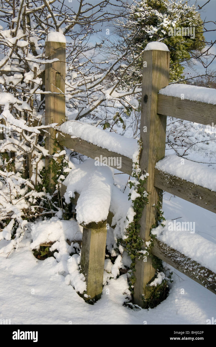 Snow lit hi-res stock photography and images - Alamy