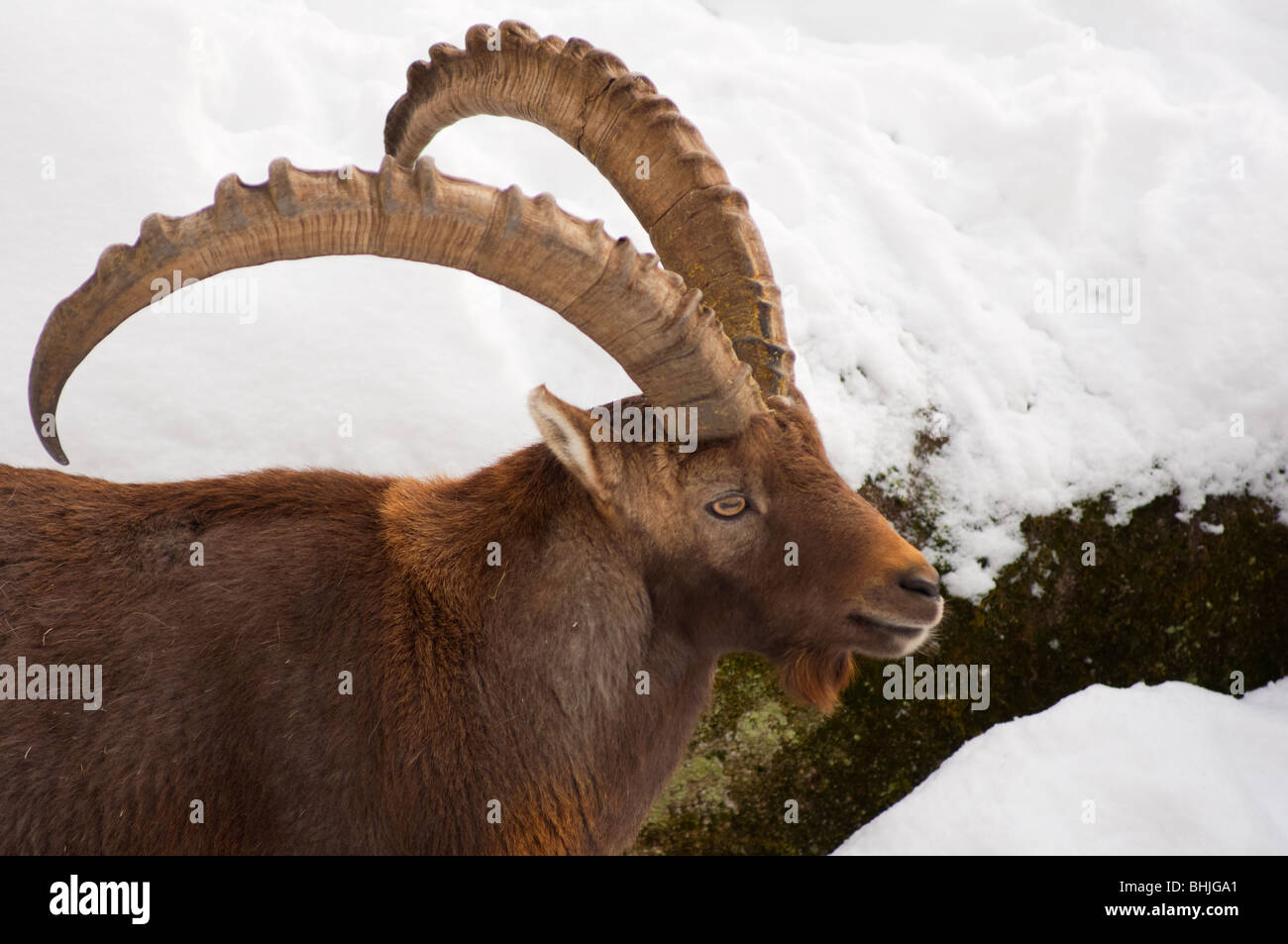 Alpine horns hi-res stock photography and images - Alamy