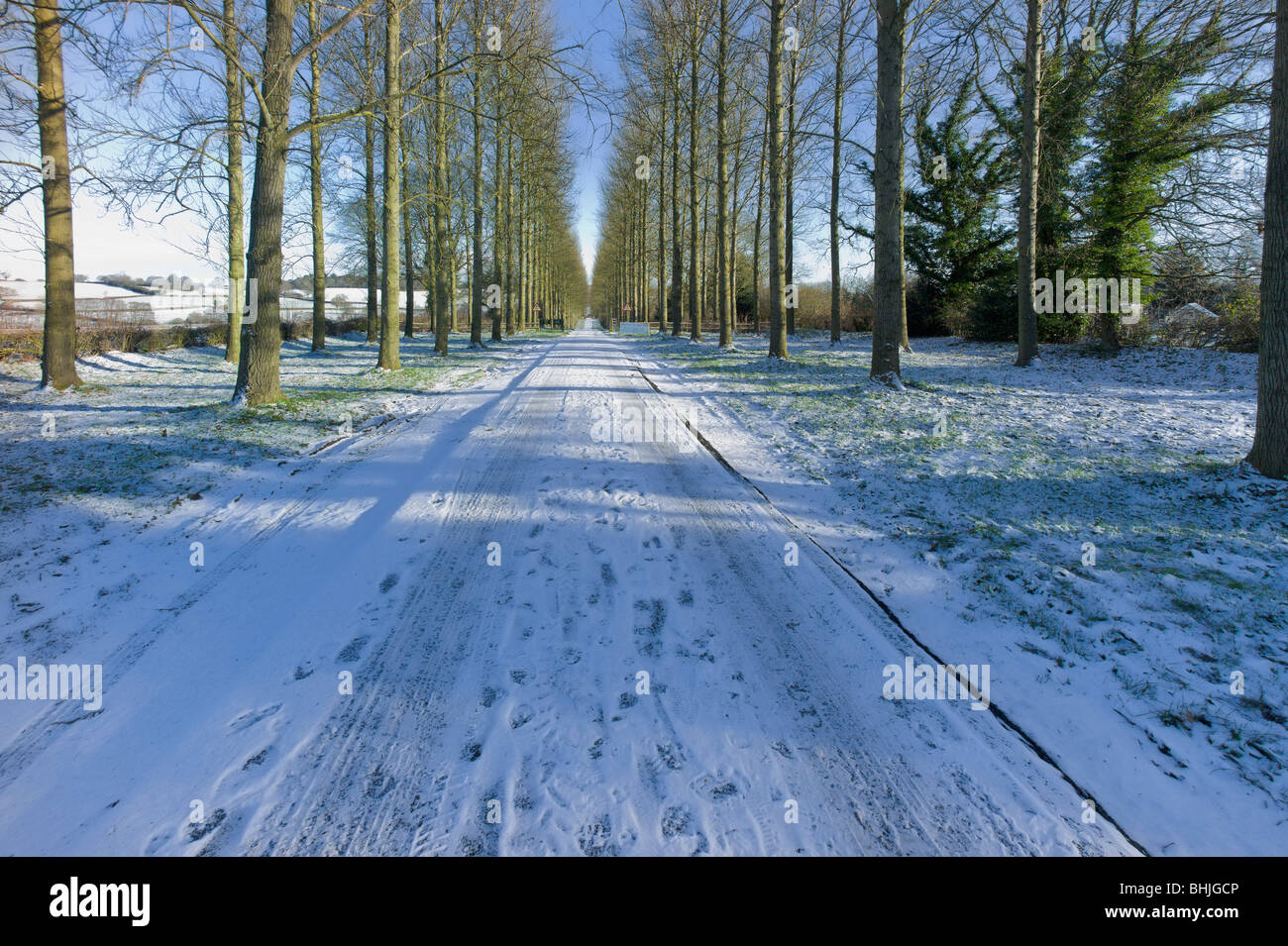 a country road covered with snow and ice in the winter in the ...