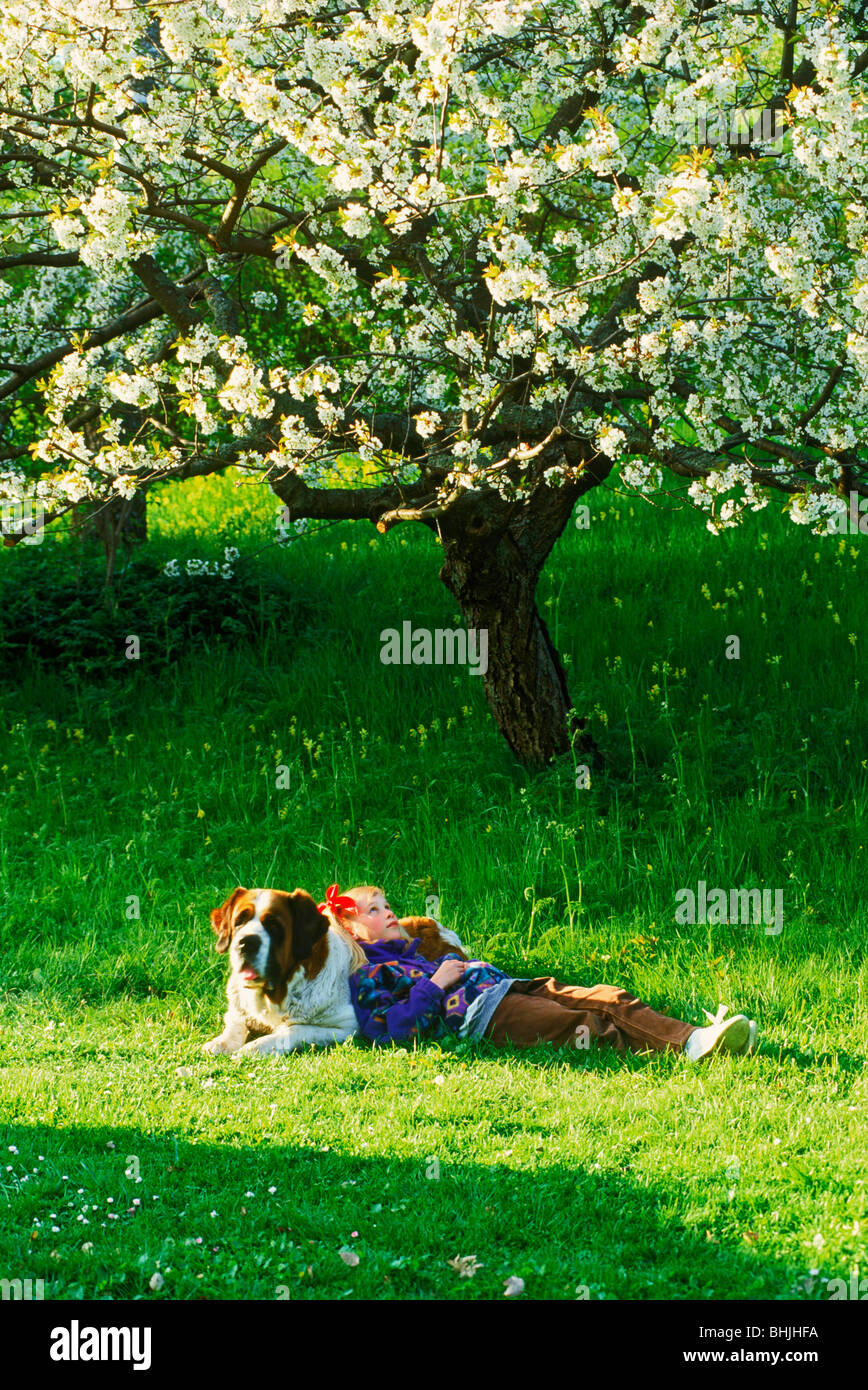Dog under chair hi-res stock photography and images - Alamy
