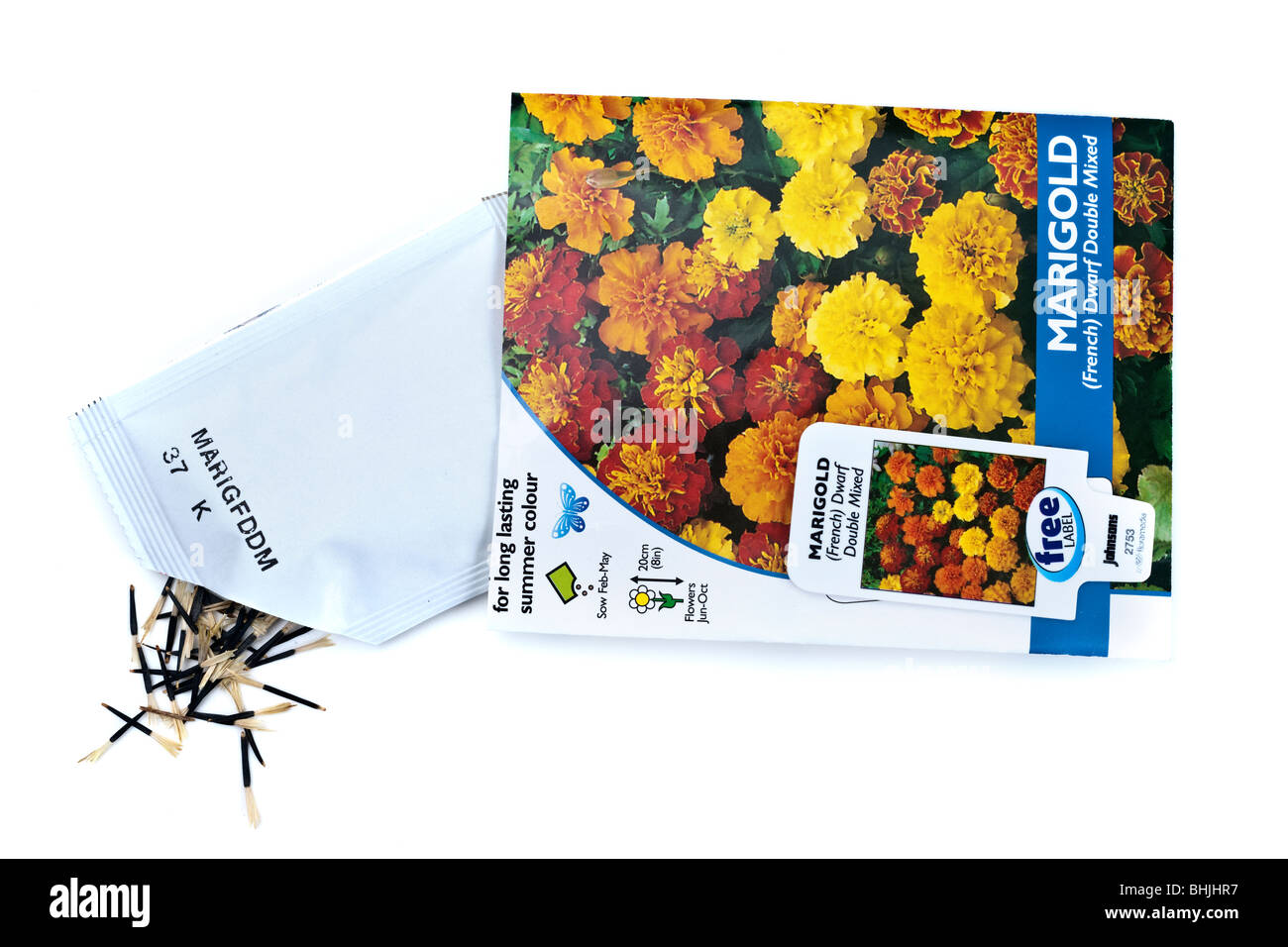 Packet of French dwarf double mixed Marigold seeds Stock Photo - Alamy