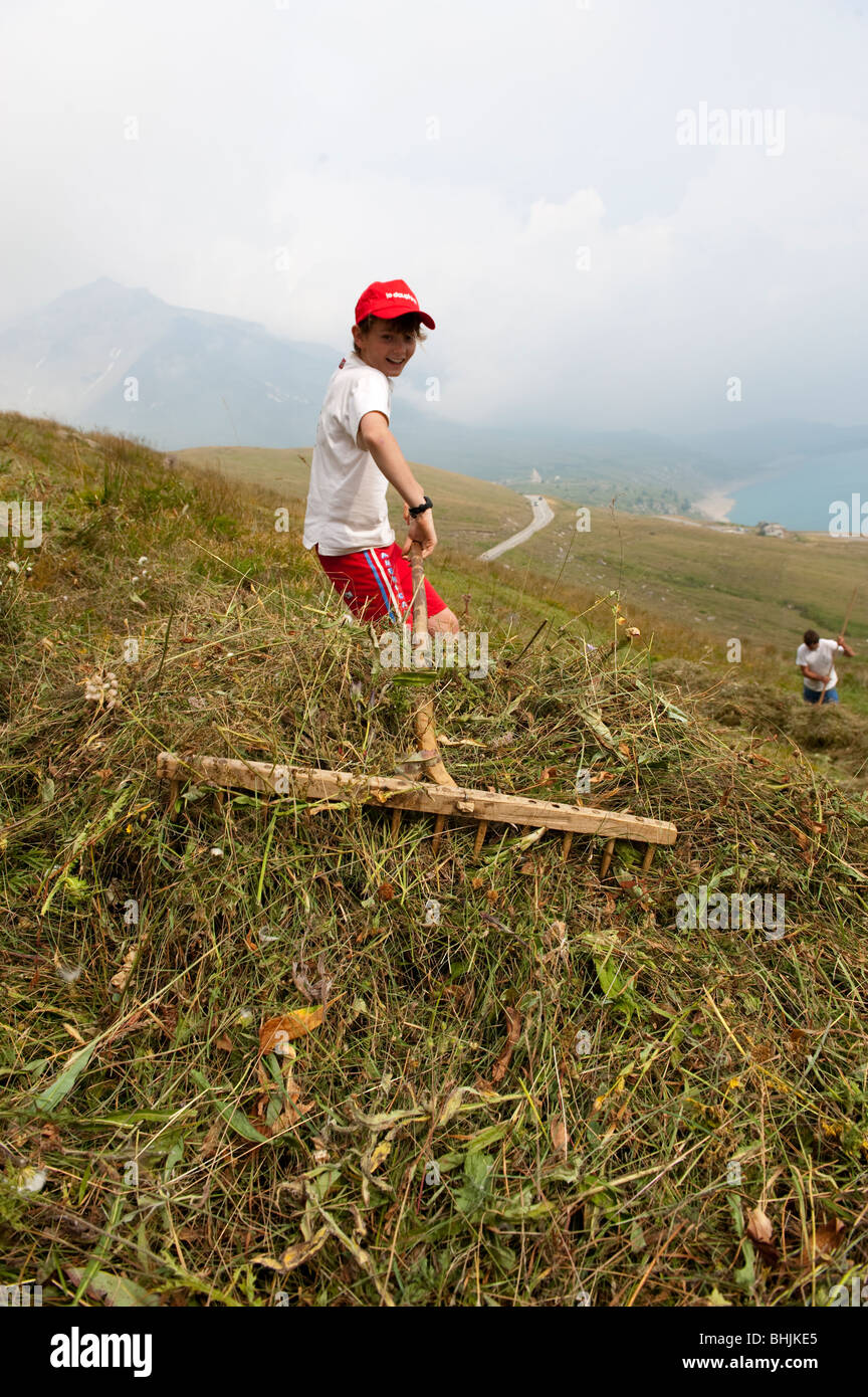 Raking hay meadow hi-res stock photography and images - Alamy