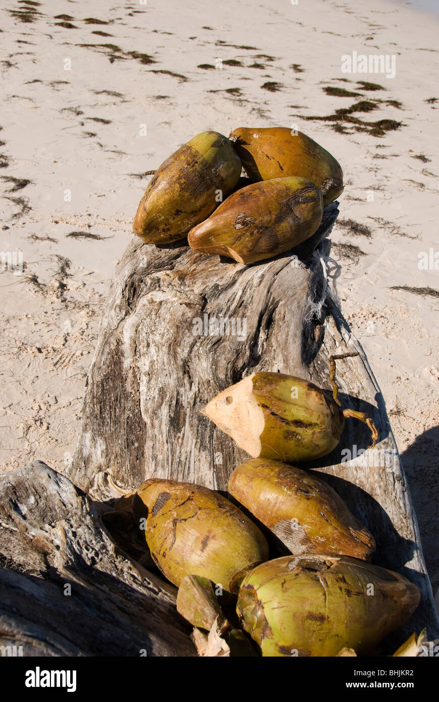 Piled coconuts hi-res stock photography and images - Alamy