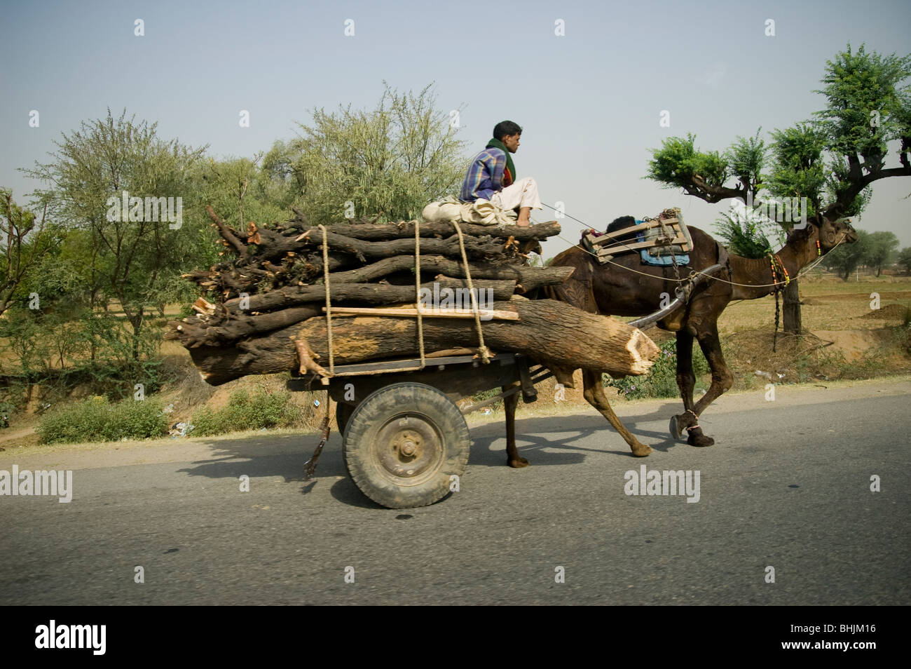 Camel tow hi-res stock photography and images - Alamy