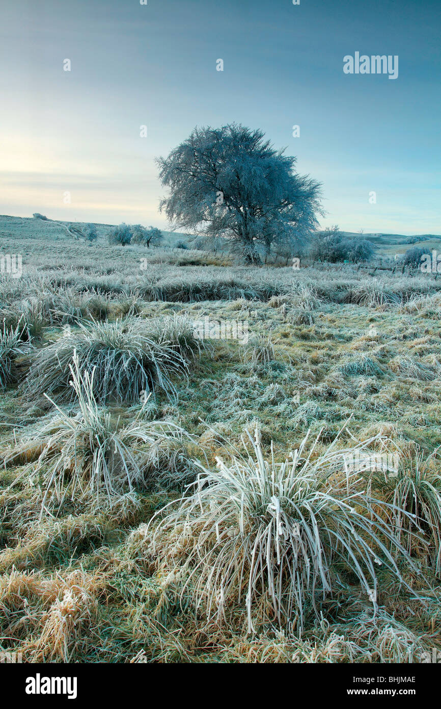 Frosty landscape above Neilston at Neilston Pad East Renfrewshire ...