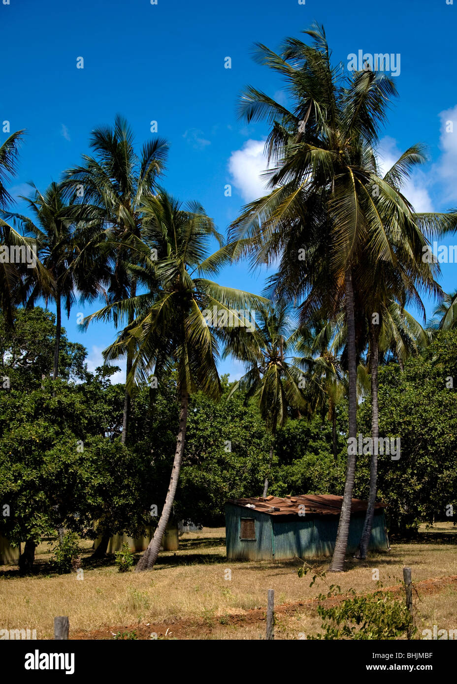 Kenya hut hi-res stock photography and images - Alamy