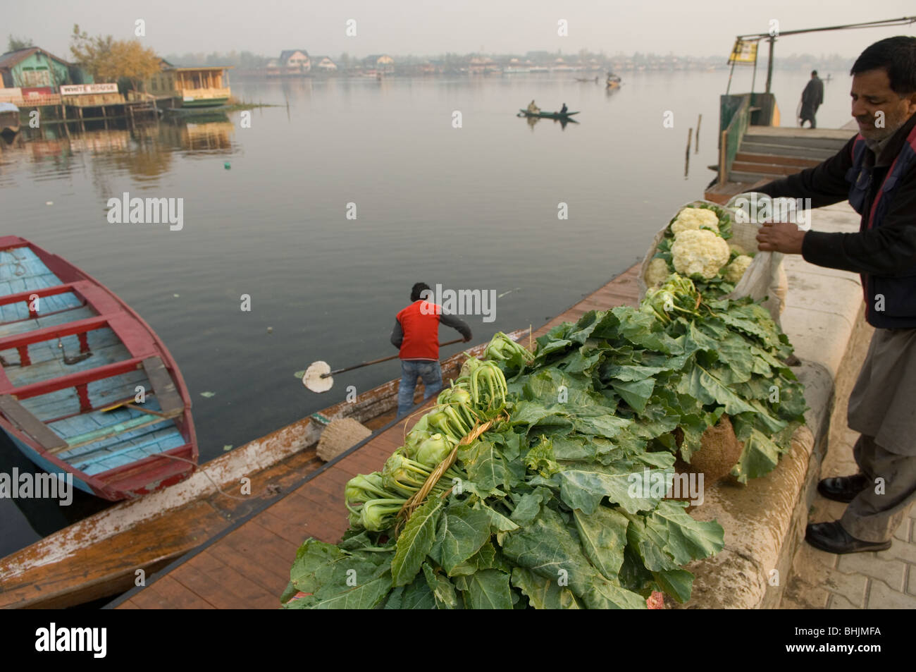Floating Market workers, Dal Lake, Srinagar, Kashmir, India Stock Photo ...