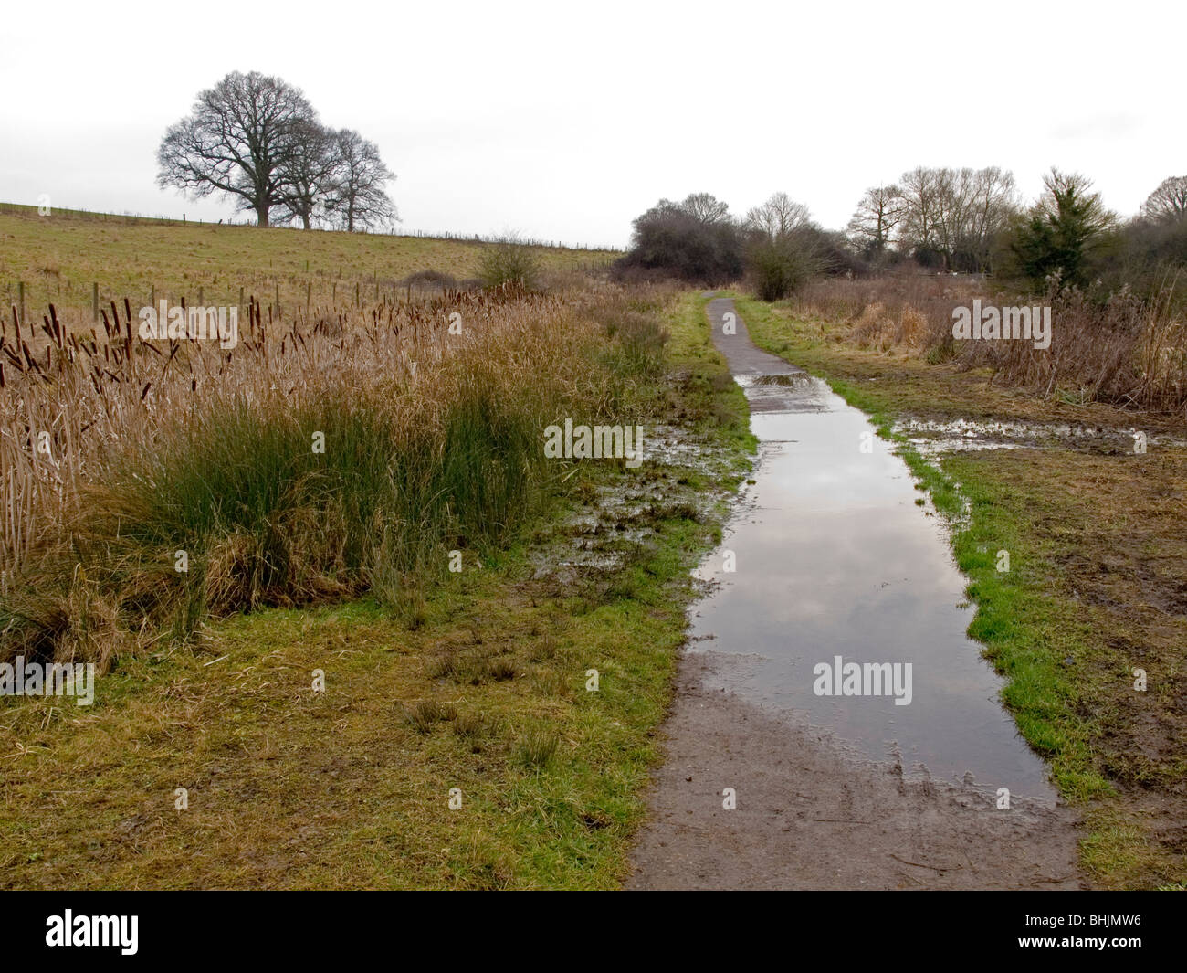 flooded path beside canal Stock Photo - Alamy