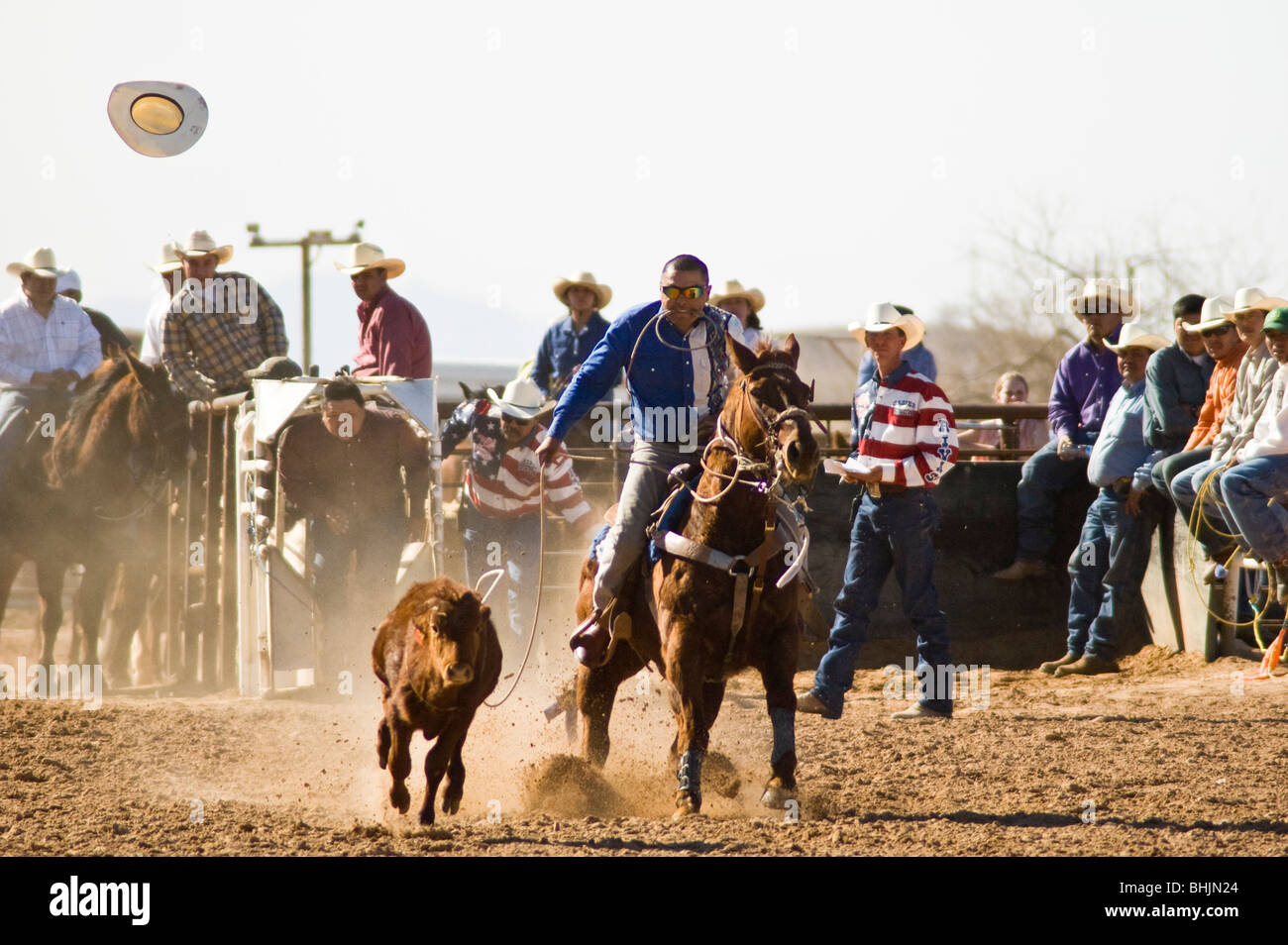 a cowboy competes in the tie-down roping event at a rodeo Stock Photo ...