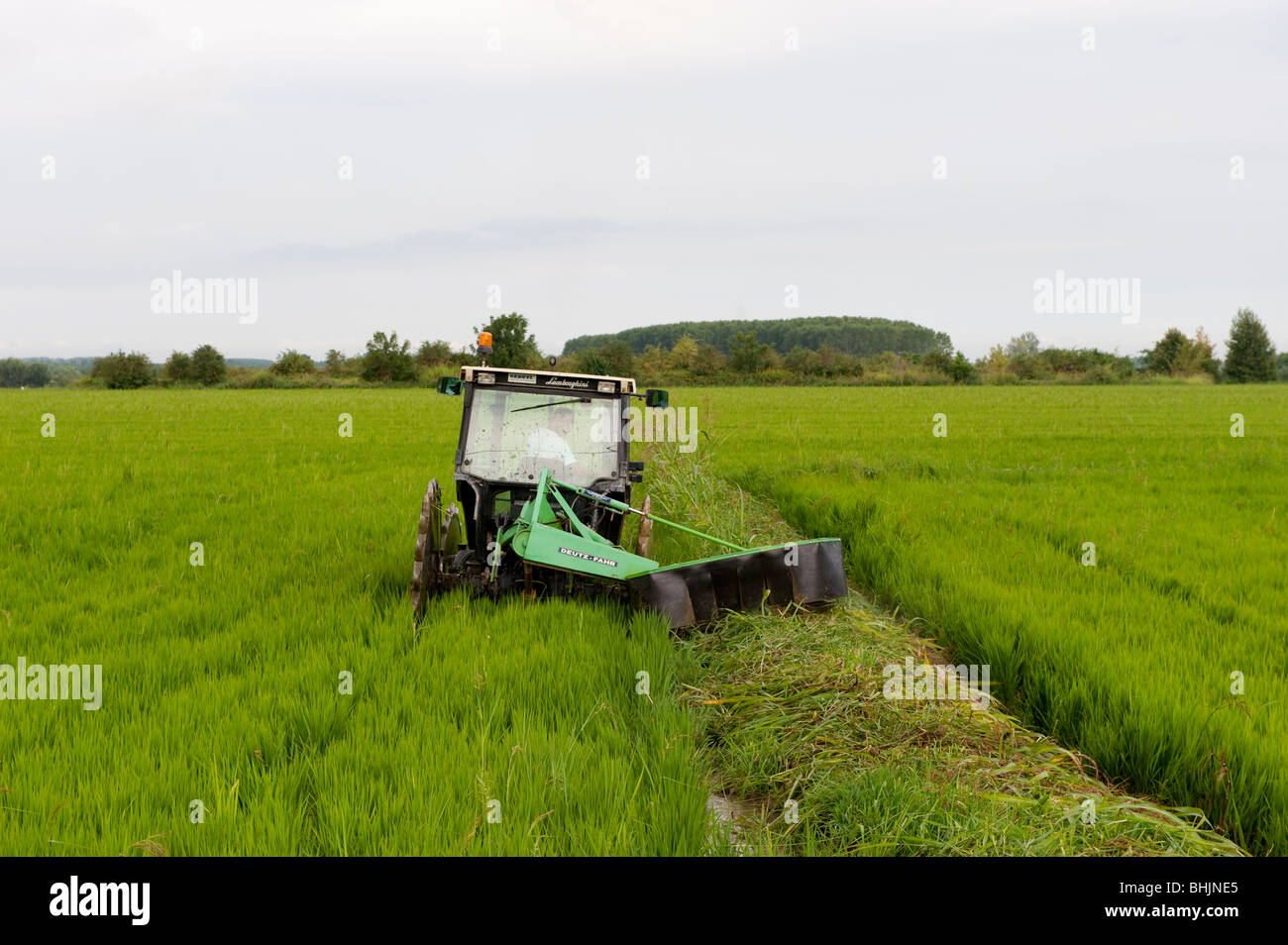 Tractor working in rice fields Stock Photo - Alamy