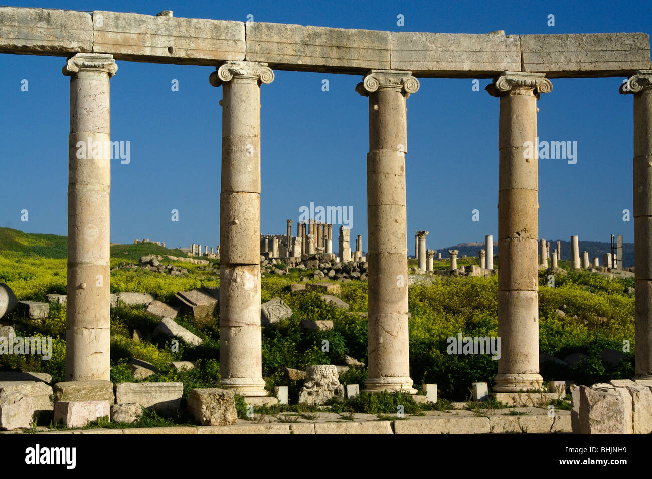 Roman ruins of Jerash in springtime, Jordan Stock Photo - Alamy