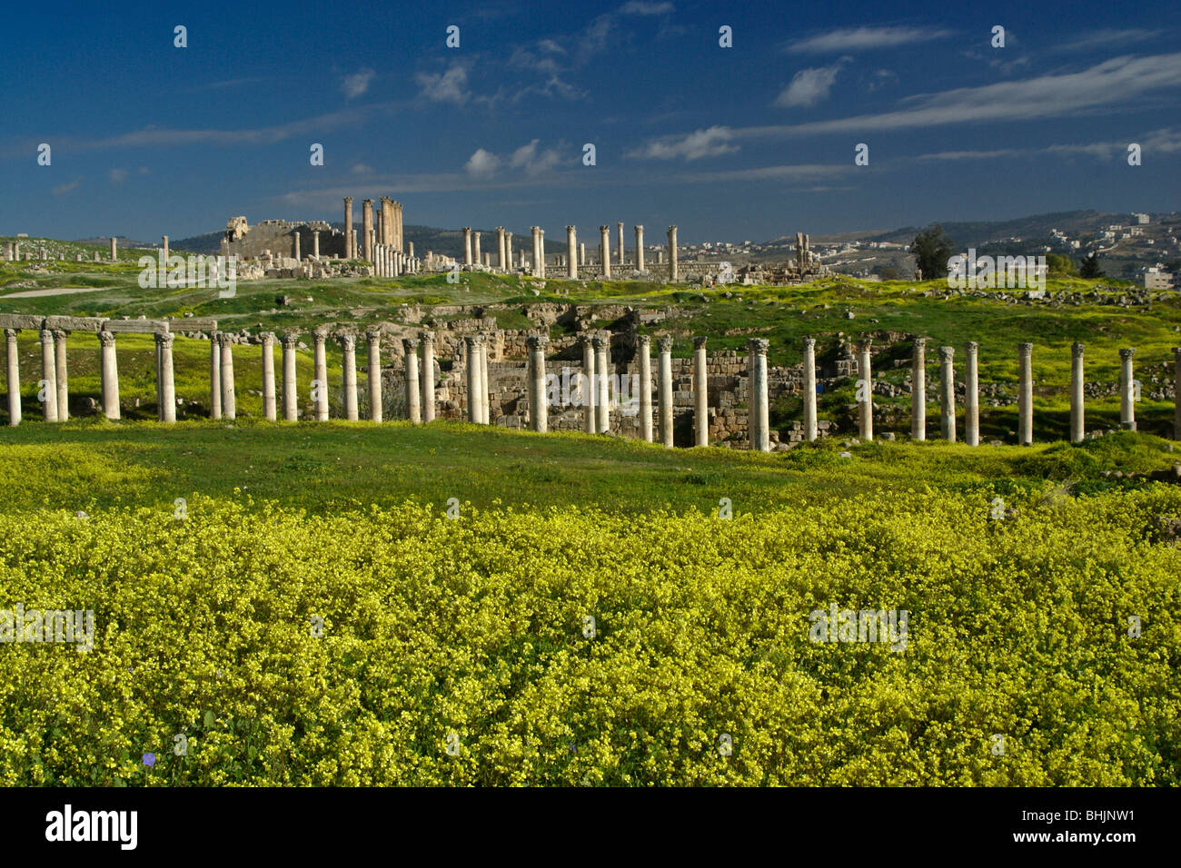Jerash jordan flowers hi-res stock photography and images - Alamy