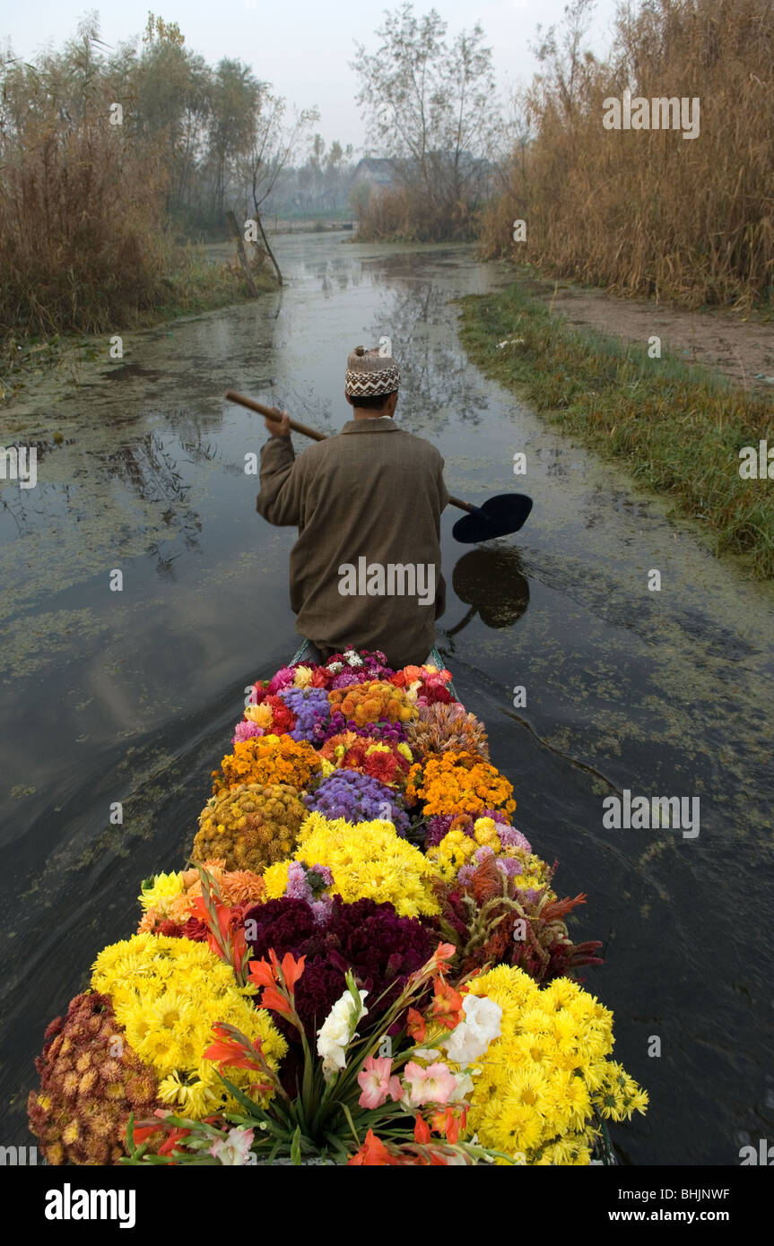Floating Market workers, Dal Lake, Srinagar, Kashmir, India Stock Photo ...