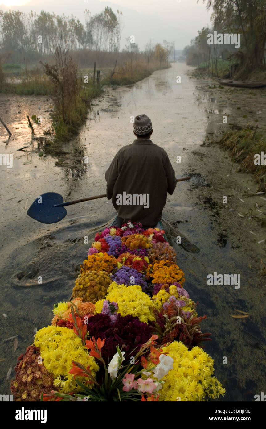 Floating Market workers, Dal Lake, Srinagar, Kashmir, India Stock Photo ...