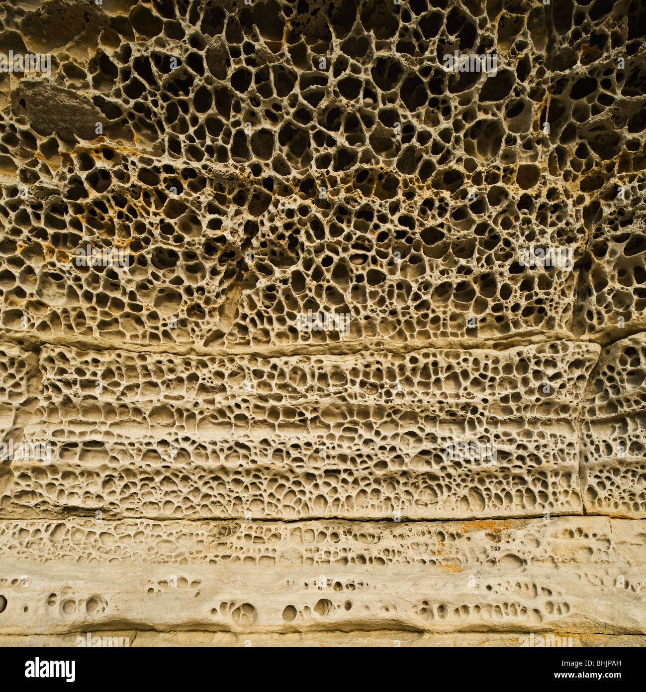 Tafoni erosion on intertidal rock cliff, Elgol, Isle of Skye, Scotland ...