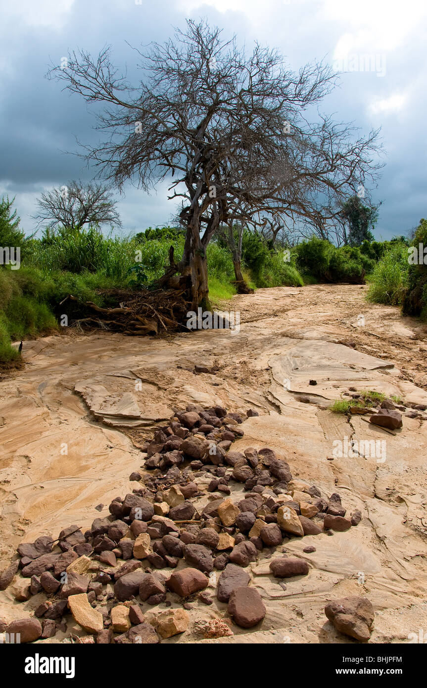 Dry River Bed, Tsavo East National Park, Kenya, Africa Stock Photo - Alamy