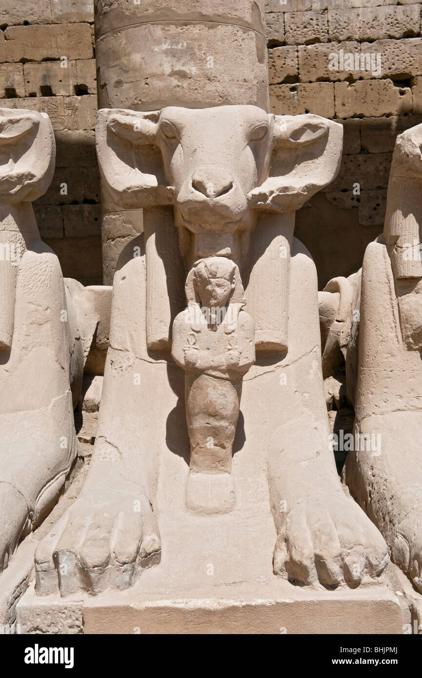 Ram Headed Sphinx in the Great Forecourt, Karnak Temple Complex Stock ...