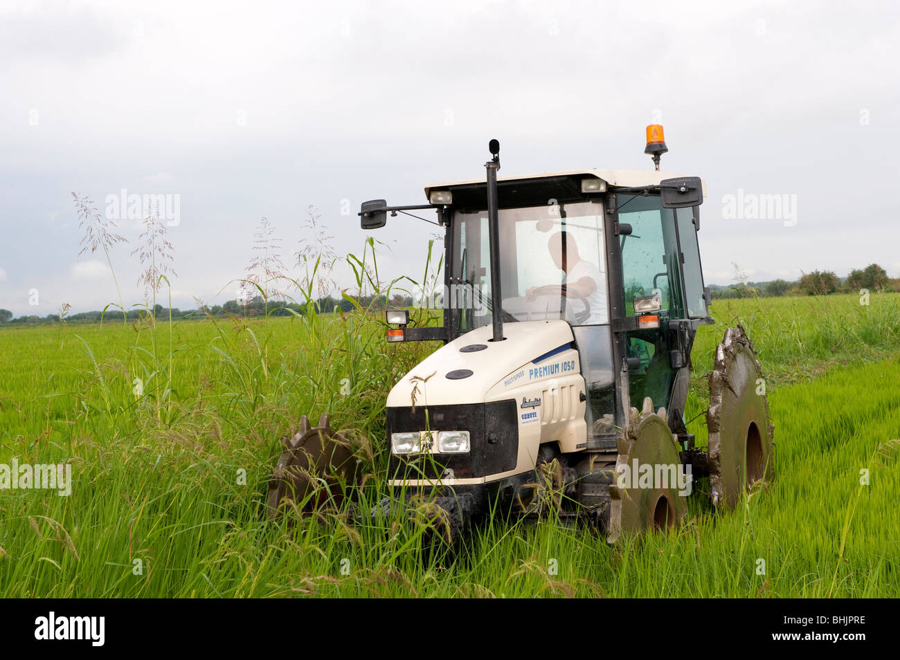 Tractor working in rice fields Stock Photo - Alamy