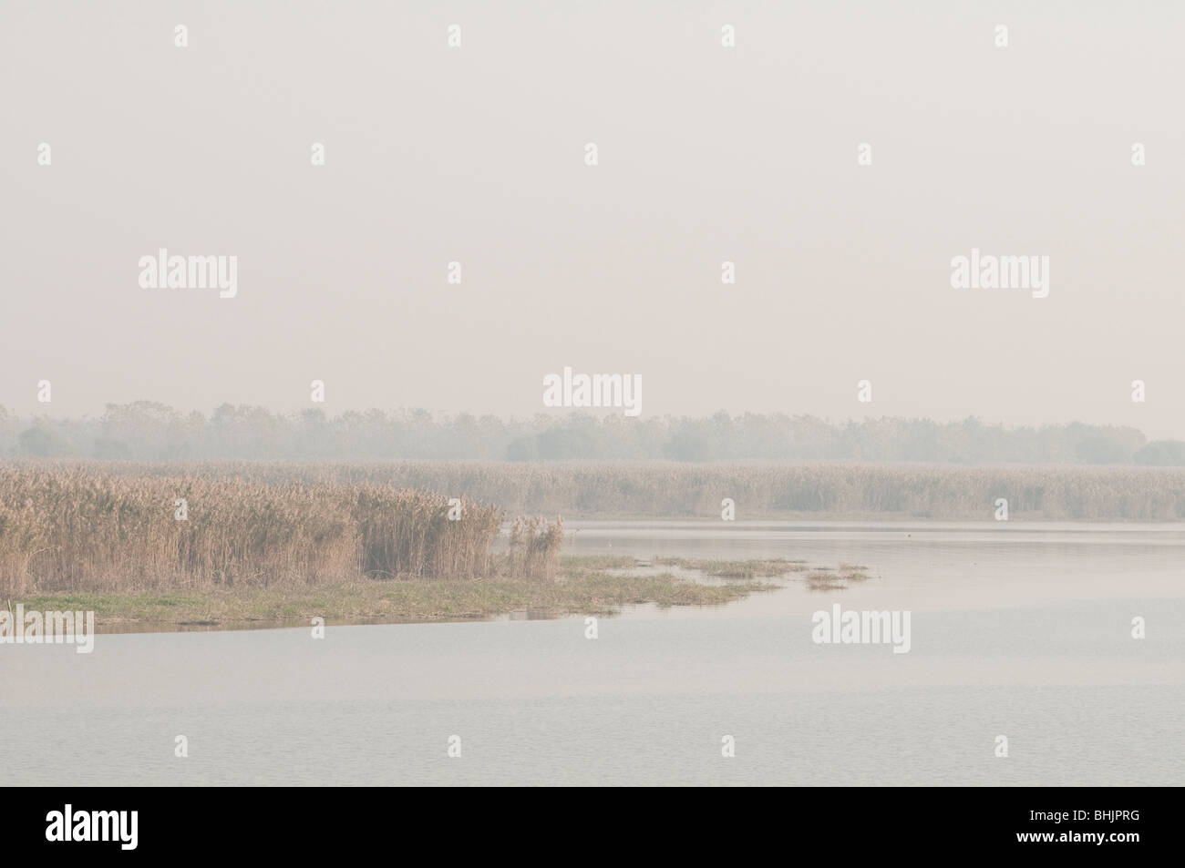 Yangtze River in Zhenjiang, Jiangsu province, China, Asia Stock Photo ...