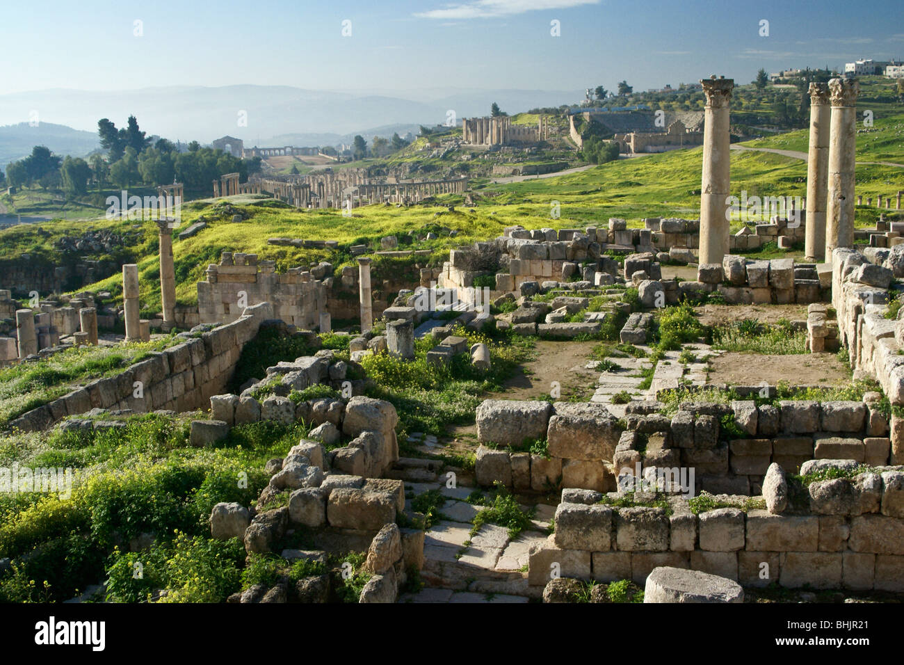Jerash jordan flowers hi-res stock photography and images - Alamy