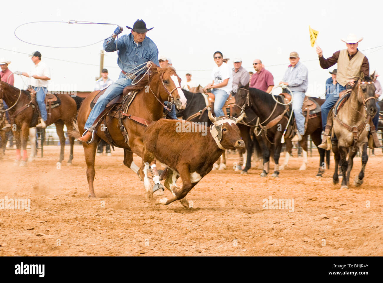 a cowboy competes in the tie-down roping event at a rodeo Stock Photo ...