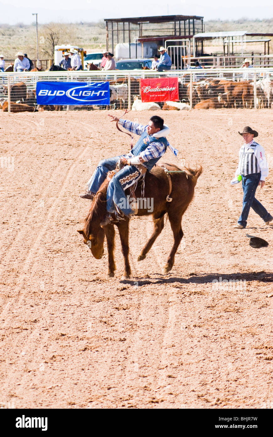Rodeo action hi-res stock photography and images - Alamy