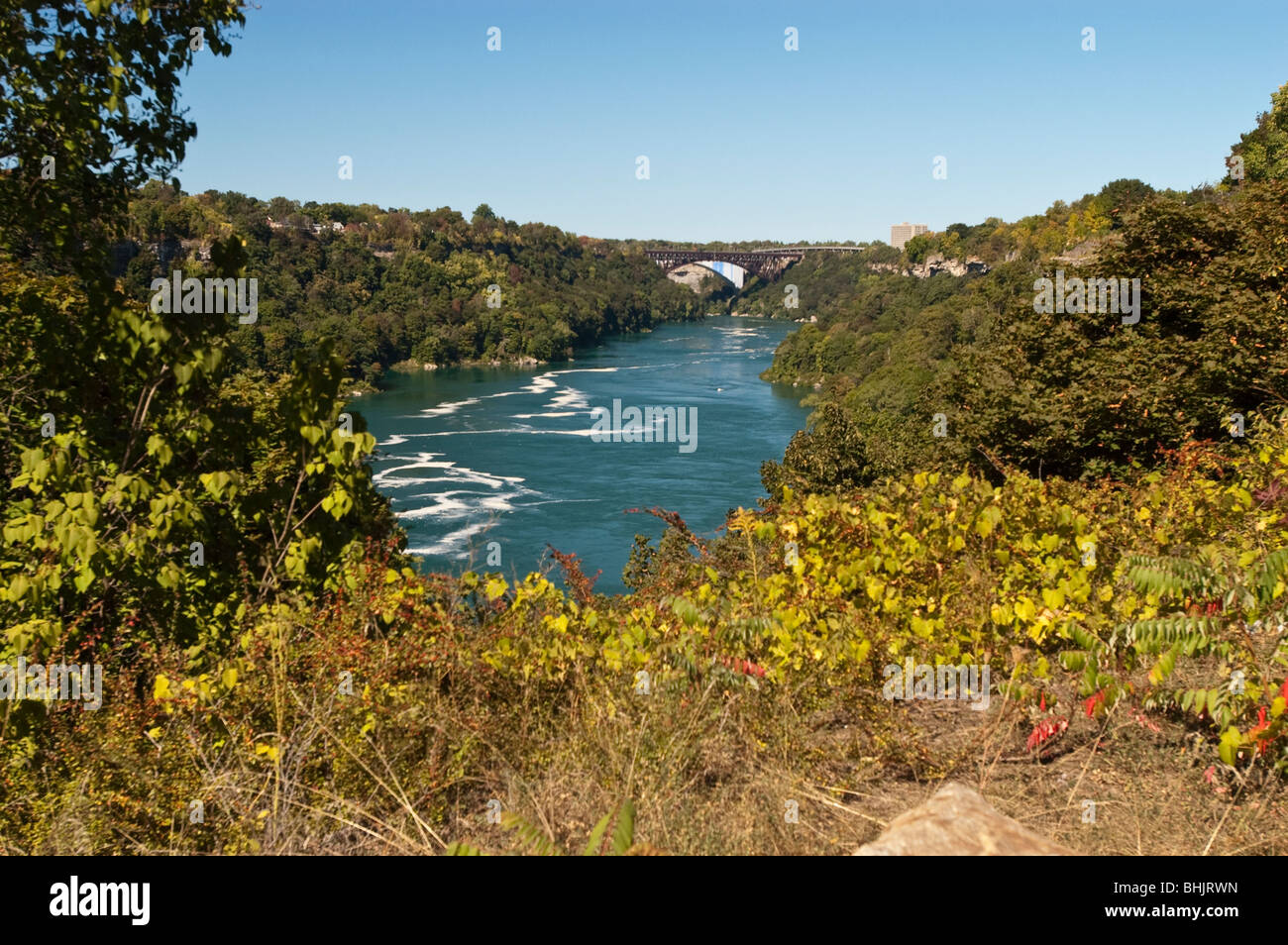 Niagara river after Niagara Falls with green trees on both American and ...