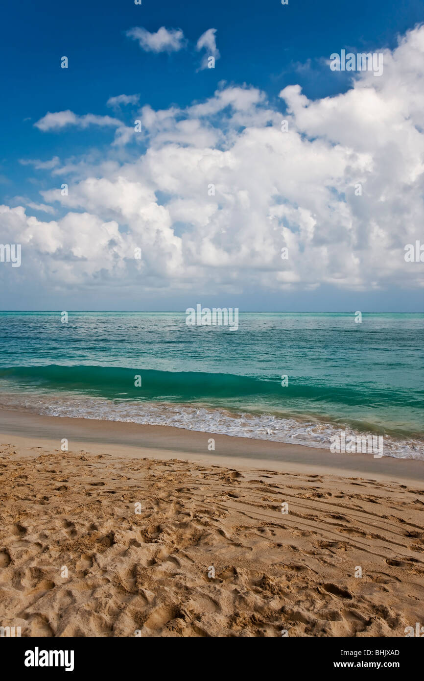 Hawaii beach sand hi-res stock photography and images - Alamy