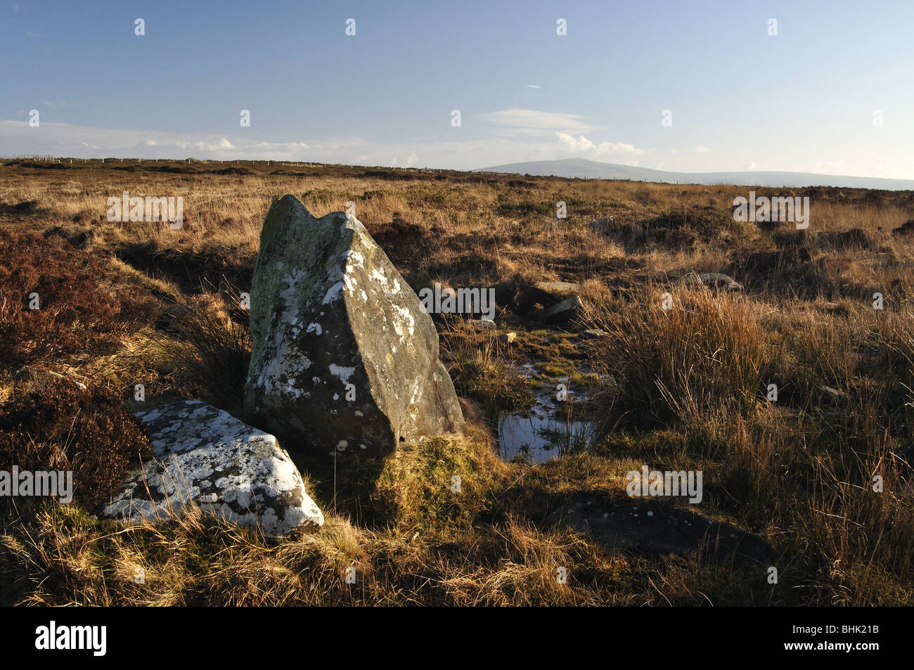 Carningli common, Preseli hills, Newport, Pembrokeshire, Wales, United ...