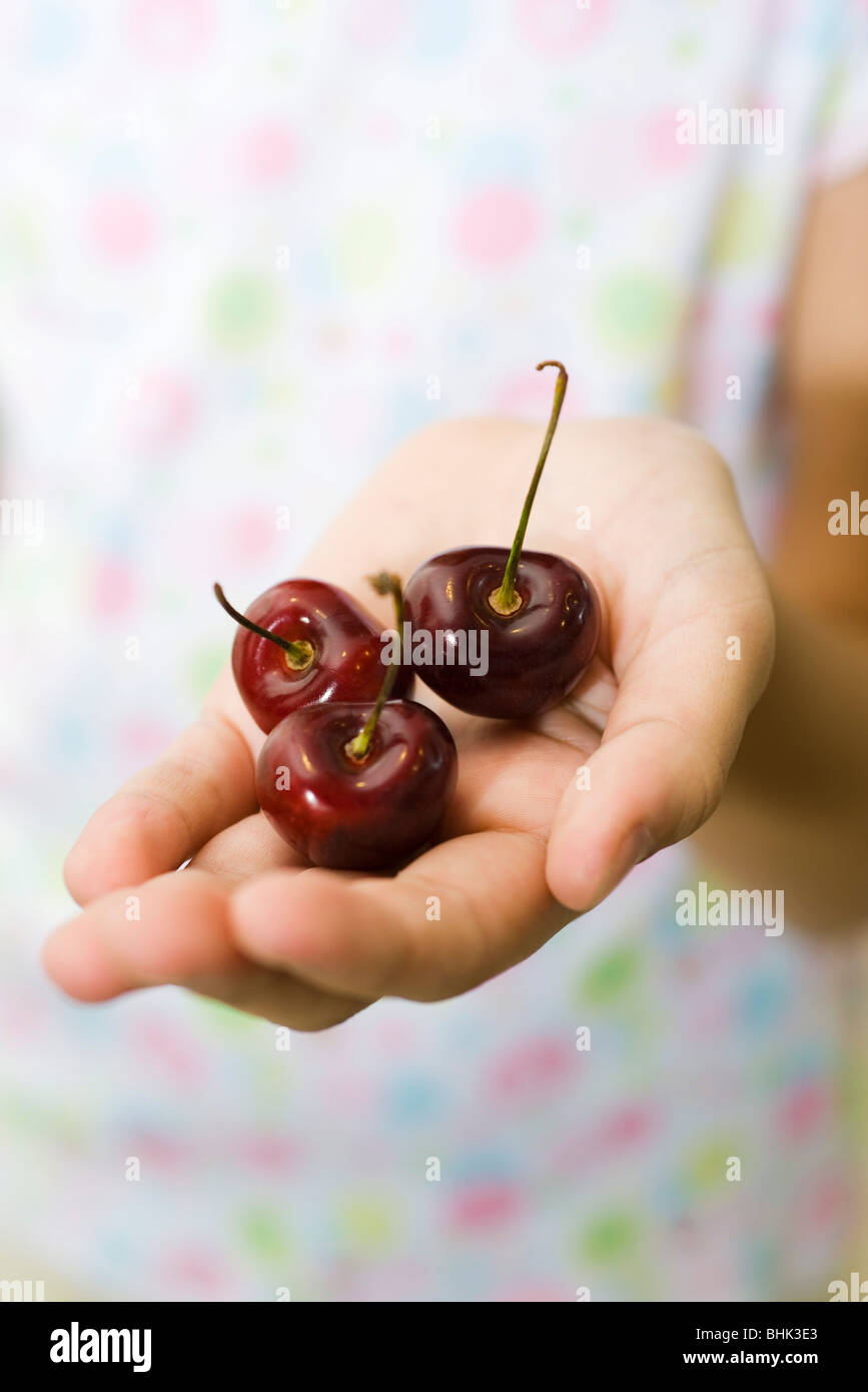 Cupped hand holding cherries Stock Photo - Alamy