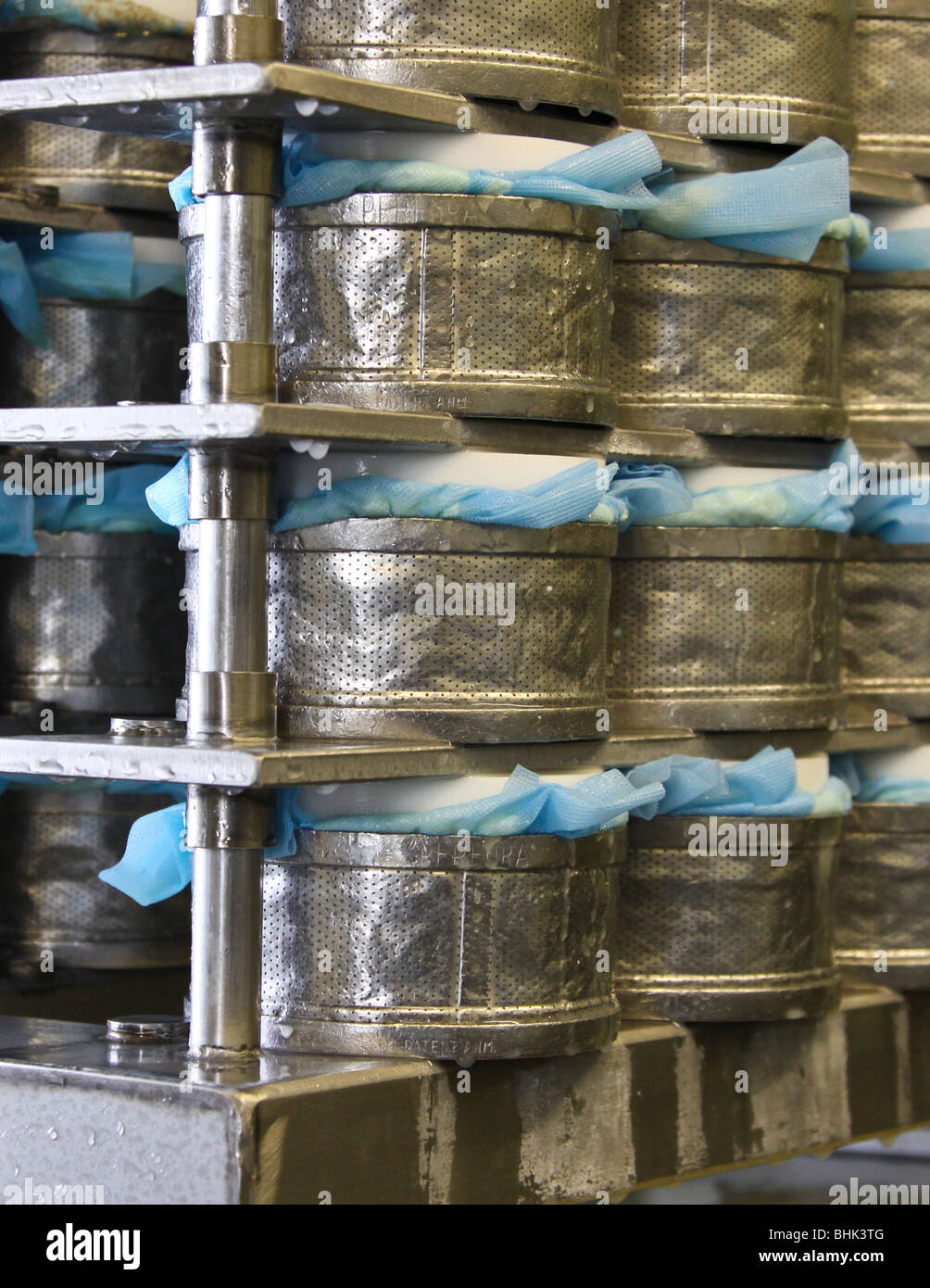 Cheese molds on shelves in a cheese making facility, Grimbister, Orkney ...