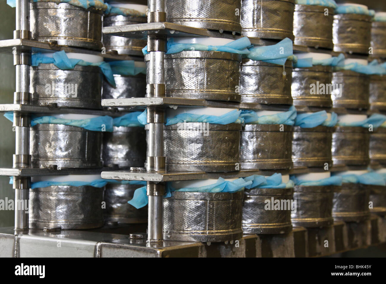 Cheese molds on shelves in a cheese making facility, Grimbister, Orkney ...