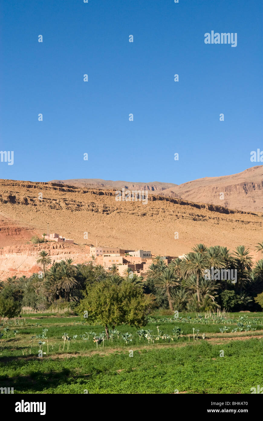 Tinerhir village hi-res stock photography and images - Alamy