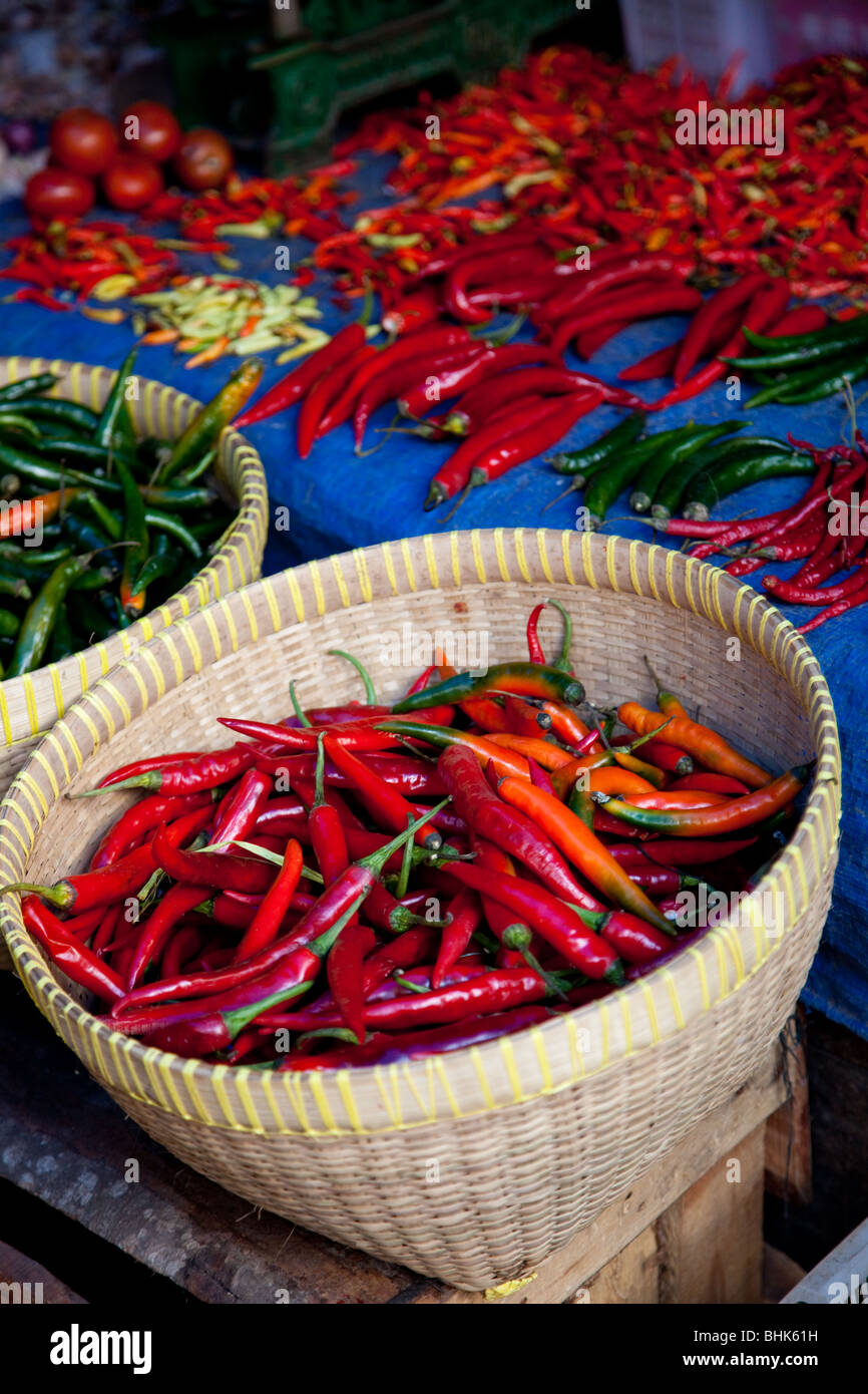Chili peppers in all shapes and sizes Stock Photo - Alamy