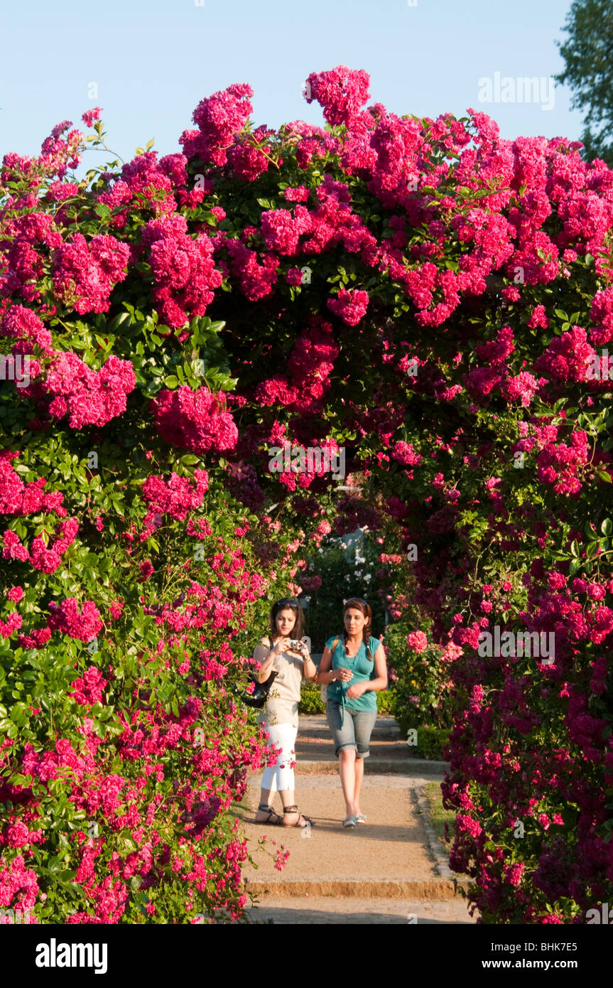 Rosengarten, Planten un Blomen, Hamburg, Deutschland | rose garden ...