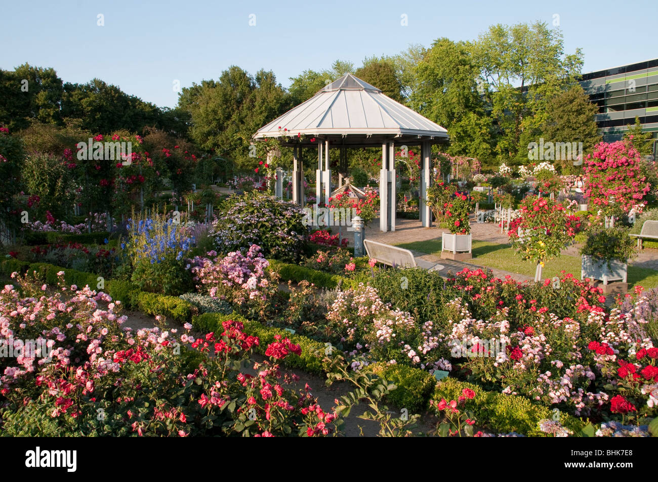 Rosengarten mit Pavillon, Planten un Blomen, Hamburg, Deutschland ...