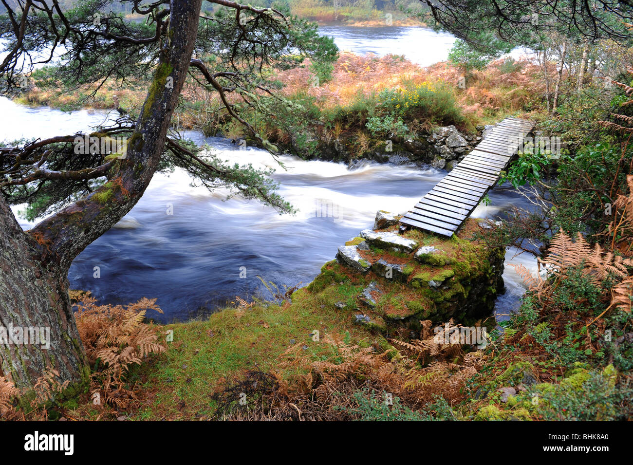 Irish river hi-res stock photography and images - Alamy